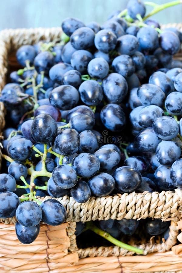 Black grape stock image. Image of sweet, healthy, fresh - 34017655