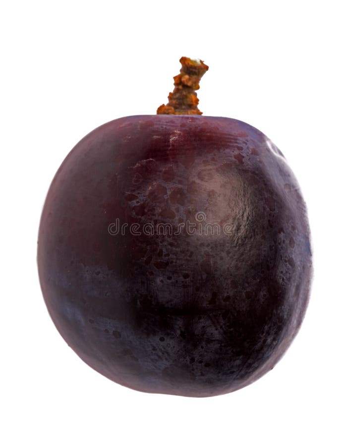Black Grape Isolated stock photo. Image of delicious, sweet - 6337122