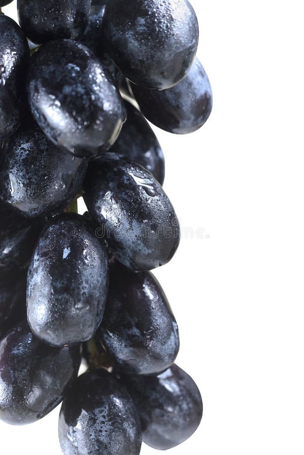 Black grape stock image. Image of cultivated, white - 117483781