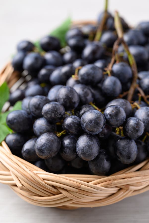 Black Grapes in Basket, Seedless Grapes Stock Photo - Image of basket ...