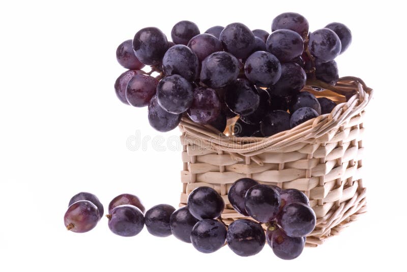 Black Grapes Isolated stock image. Image of juicy, close - 6337137