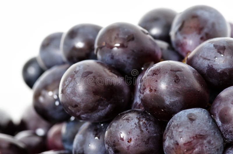 Black grapes stock image. Image of food, detail, france - 33266737
