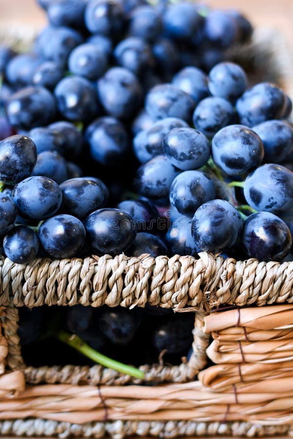 Black grapes stock photo. Image of sweet, ripe, black - 34017702