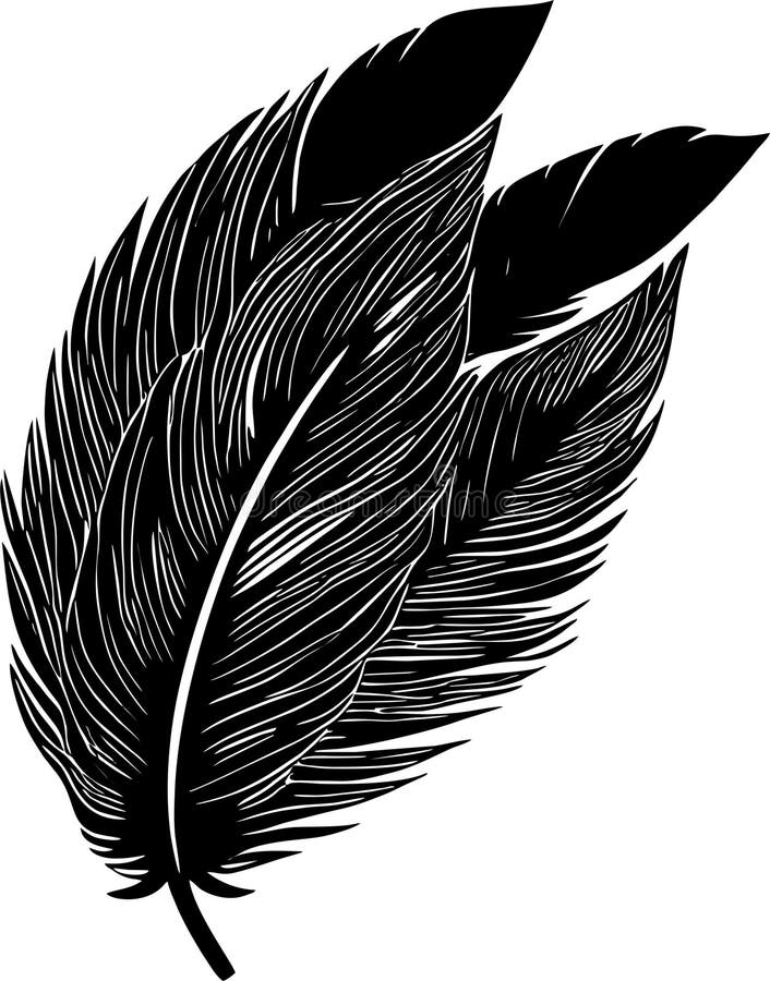 Black Graphic Contour Drawing Bird Feather, Logo Stock Illustration ...