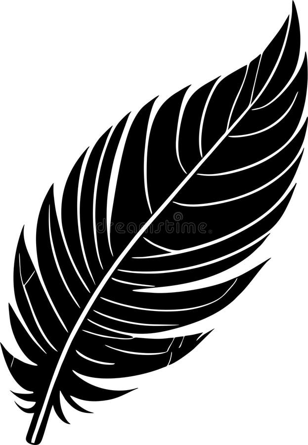 Black Graphic Decorative Bird Feather without Background Stock Image ...