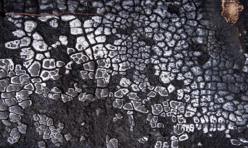 Burned Plastic Texture Stock Photos - Free & Royalty-Free Stock Photos ...