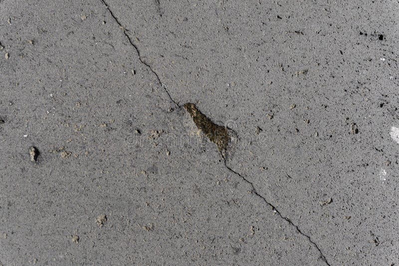 Black Gray Basalt Lava Rectangular Pavement Cobblestones in Cracked ...