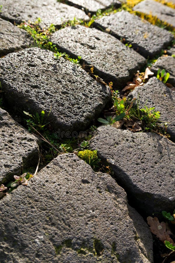 Black Gray Basalt Lava Rectangular Pavement Cobblestones in Square ...