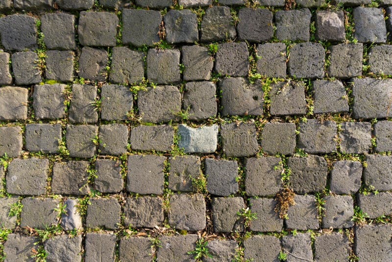 Black Gray Basalt Lava Rectangular Pavement Cobblestones in Square ...