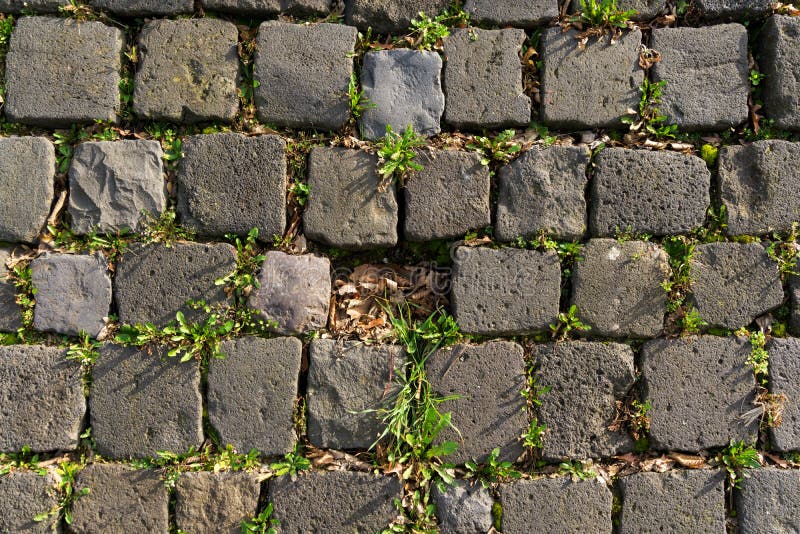 Black Gray Basalt Lava Rectangular Pavement Cobblestones in Square ...