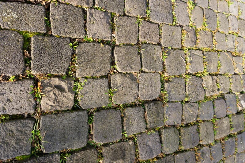 Black Gray Basalt Lava Rectangular Pavement Cobblestones in Square ...