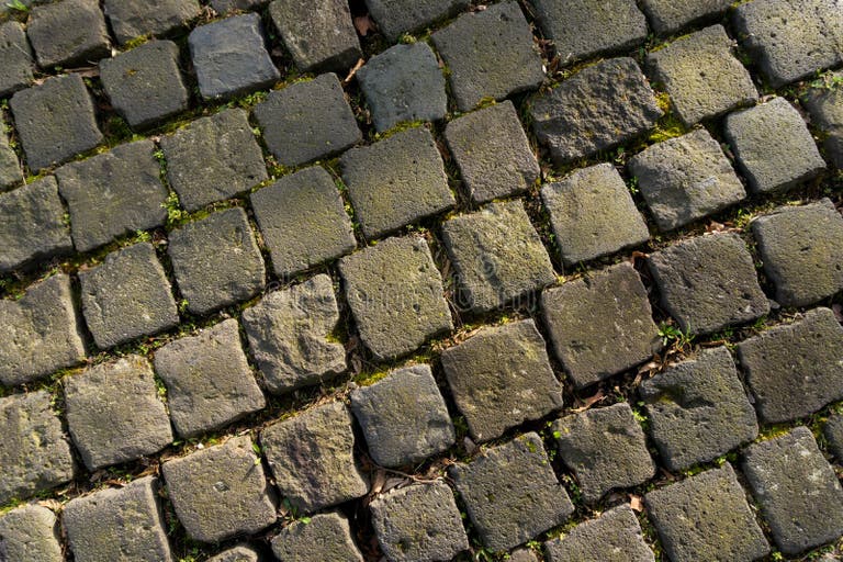 Black Gray Basalt Lava Rectangular Pavement Cobblestones in Square ...