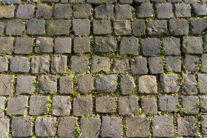 Black Gray Basalt Lava Rectangular Pavement Cobblestones in Square ...