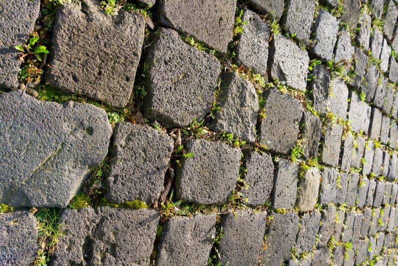 Black Gray Basalt Lava Rectangular Pavement Cobblestones in Square ...