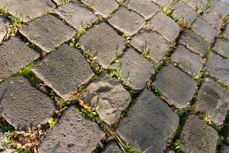 Black Gray Basalt Lava Rectangular Pavement Cobblestones in Square ...