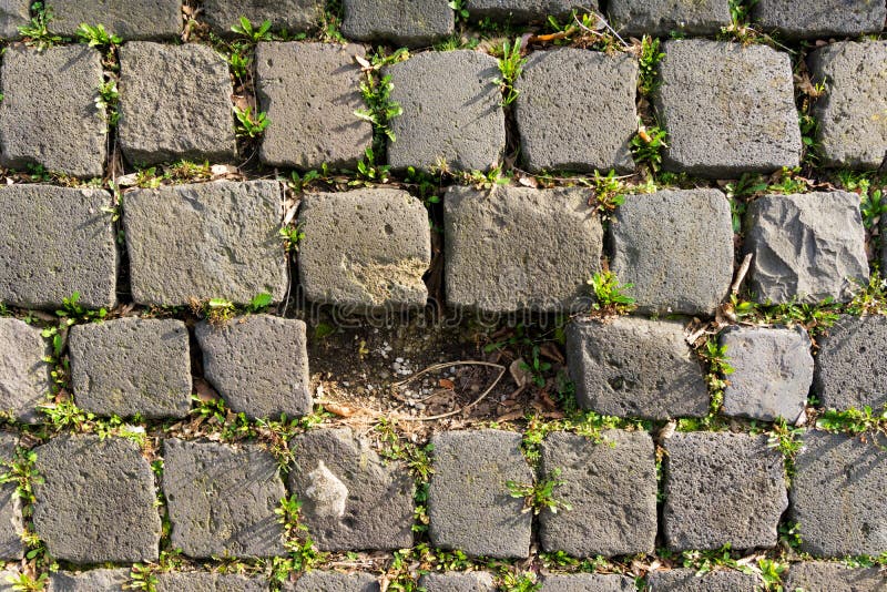 Black Gray Basalt Lava Rectangular Pavement Cobblestones in Square ...