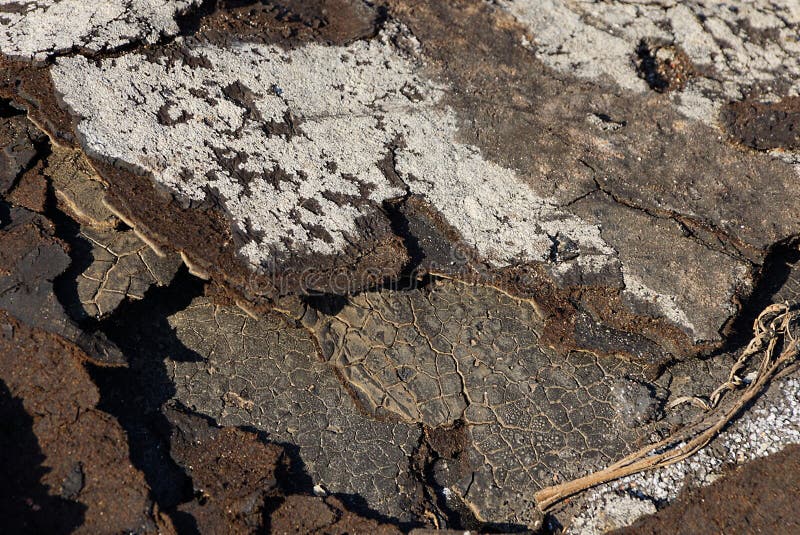 Black Gray Dirty Old Pieces of Roofing Felt Stock Photo - Image of felt ...