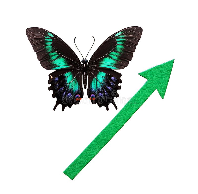 A Black and Green Butterfly Soars Upward, Guided by an Arrow Pointing ...
