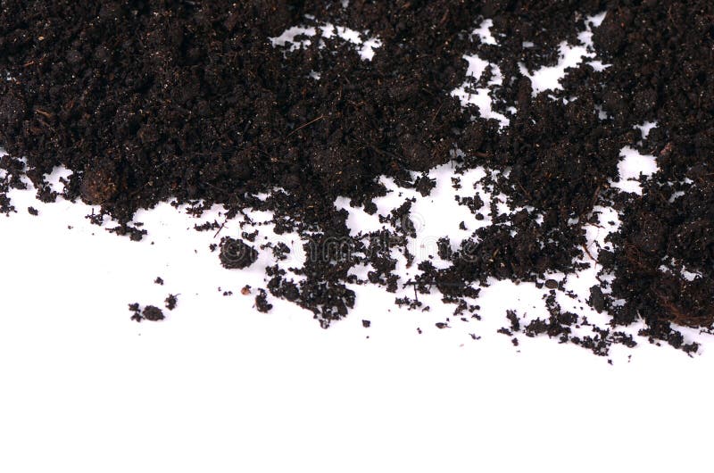 Black Ground Close Up Isolated on White Stock Image - Image of brown ...