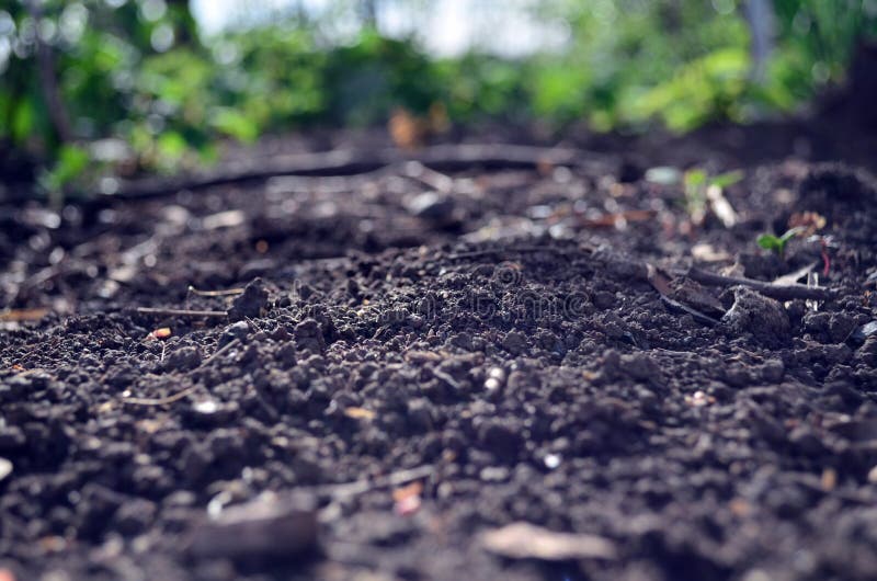 Black Ground in the Garden in Spring Stock Photo - Image of beginning ...