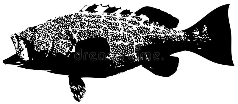 Black grouper fish vector stock vector. Illustration of vector - 47522875