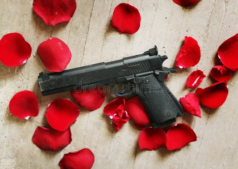169 Gun Red Rose Stock Photos - Free & Royalty-Free Stock Photos from ...