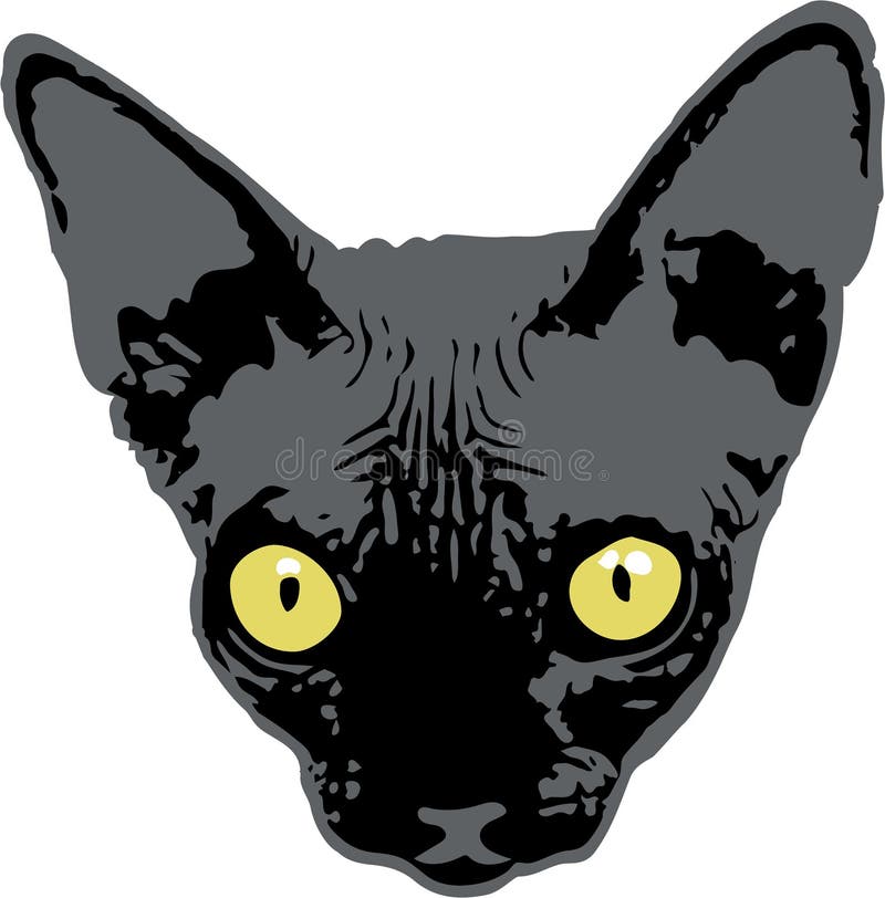 Black Sphynx Hairless Cat with a Cap Hat Exploring Stock Photo - Image ... Black Sphynx Hairless Cat with a Cap Hat Exploring Stock Photo - Image ...