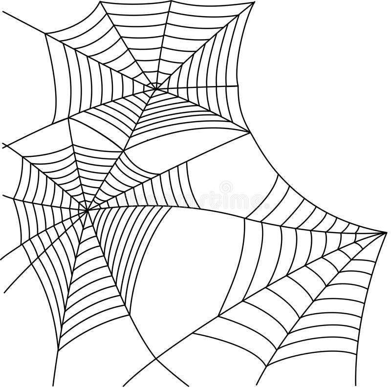 Black Spider Web Pattern on White Background. Hand Drawn Spider Web ...