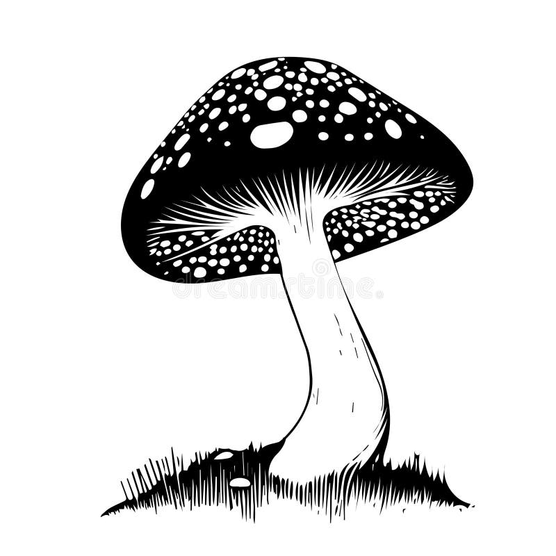 Dabchick Stock Illustrations – 259 Dabchick Stock Illustrations ...