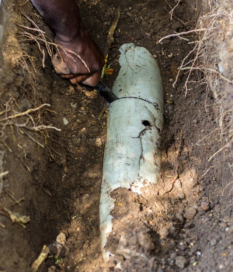 Black Hands Digging in the Soil Stock Photo - Image of labor, back ...