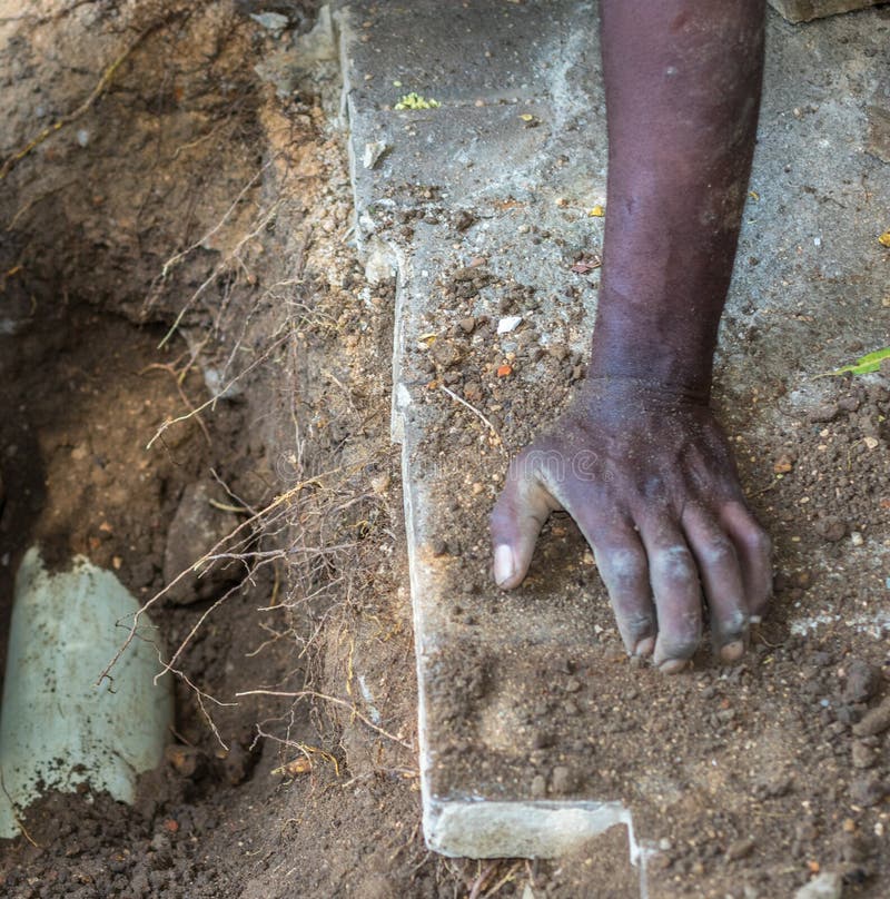 Black Hands Digging in the Soil Stock Photo - Image of labor, back ...