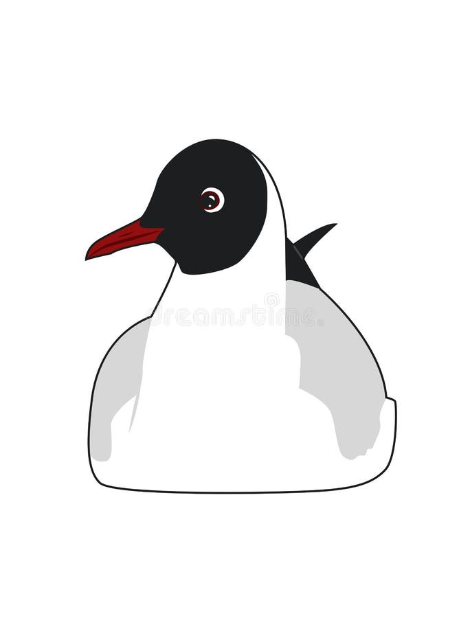 Black headed gull stock vector. Illustration of cartoon - 230293907