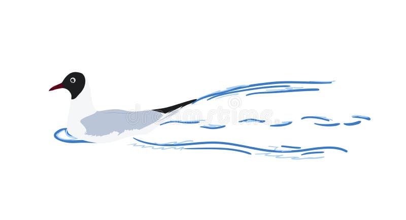 Headed Gull Stock Illustrations – 101 Headed Gull Stock Illustrations ...