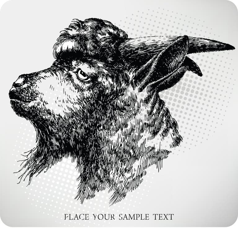 Black Horned Goat Hand Drawing Stock Illustrations – 398 Black Horned ...