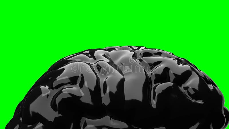Black Human Brain on Green Chroma Key Text Space. Stock Video - Video ...