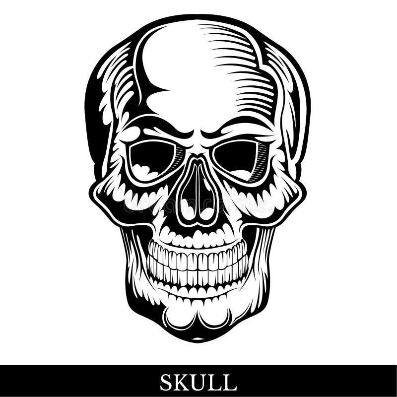 Black Human Skull Front View with a Lower Jaw Isolated Stock Vector ...
