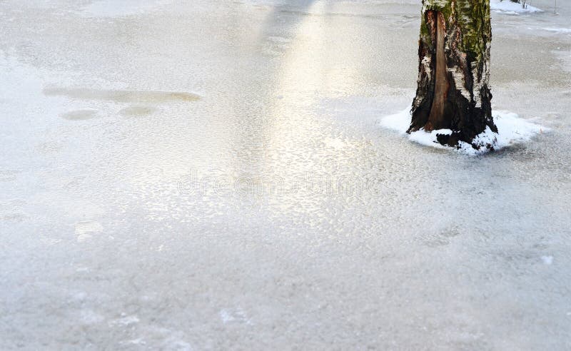 Air Force Rigestration Slip Stock Photos - Free & Royalty-Free Stock ...