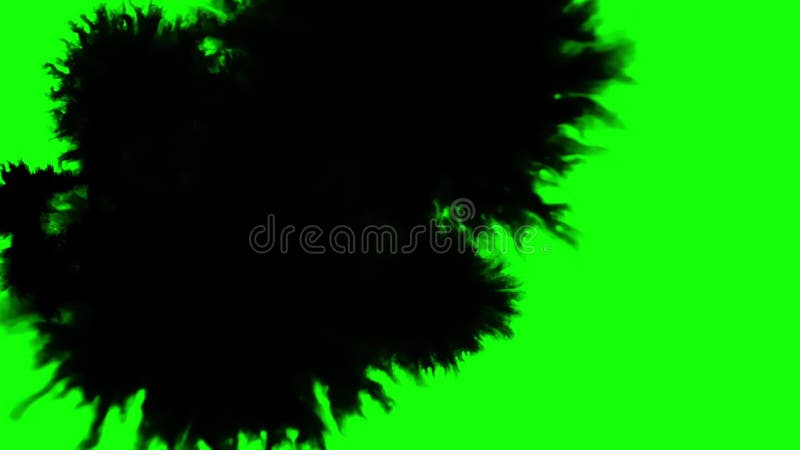 Green Screen. a Flock of Black Crows Flies from the Left To the Right ...