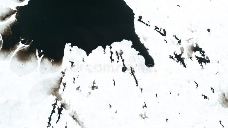 Black Ink Drops Isolated on White Background Stock Illustration ...