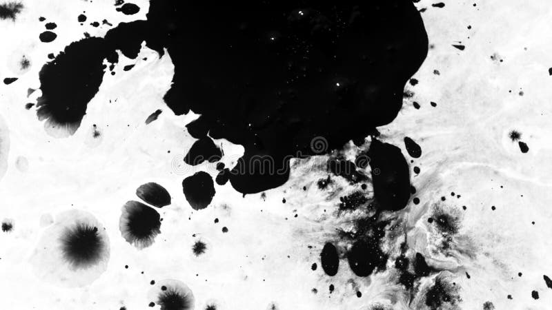 Black Ink Drops Isolated on White Background Stock Illustration ...