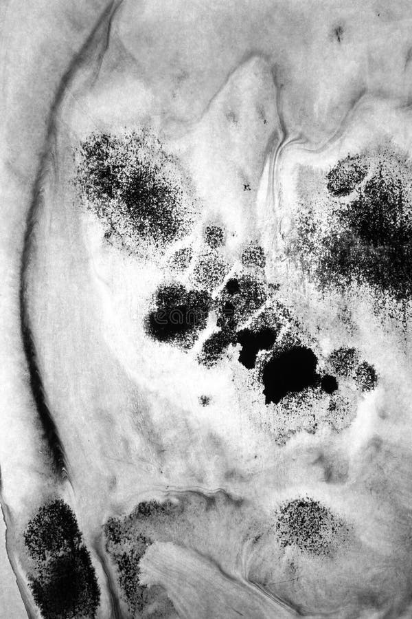 Uncolored Drawing Stock Photos - Free & Royalty-Free Stock Photos from ...