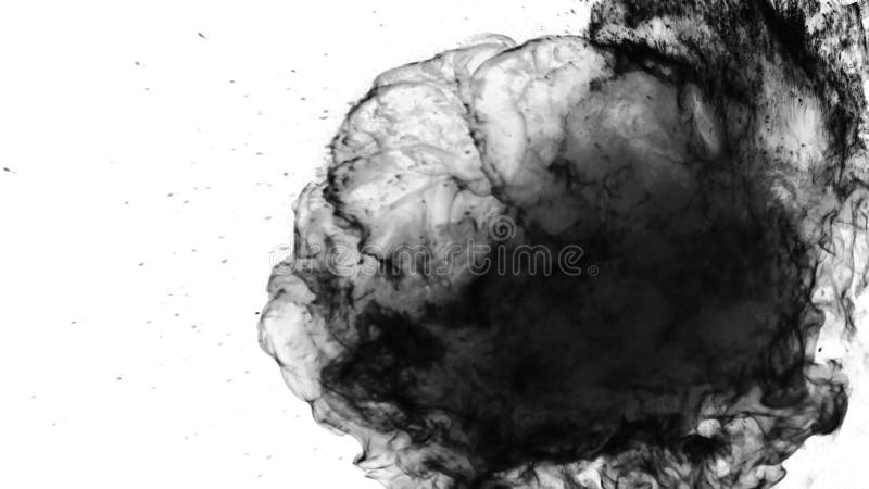 Black Ink Explosion stock footage. Video of energy, graphic - 341950662