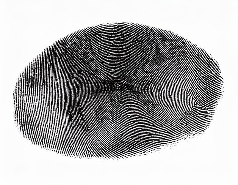 Black Ink Fingerprint Isolated on White Background for Identification ...