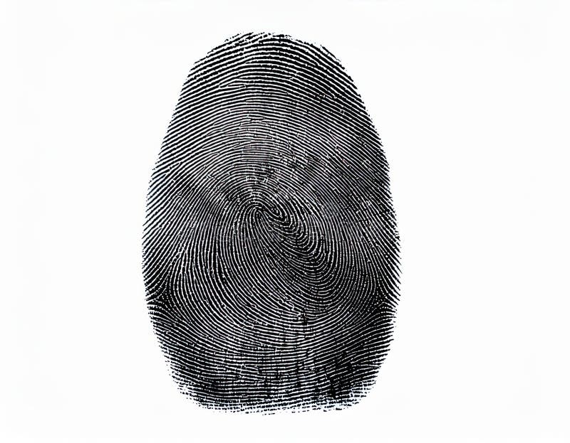 Black Ink Fingerprint Isolated on White Background for Identification ...