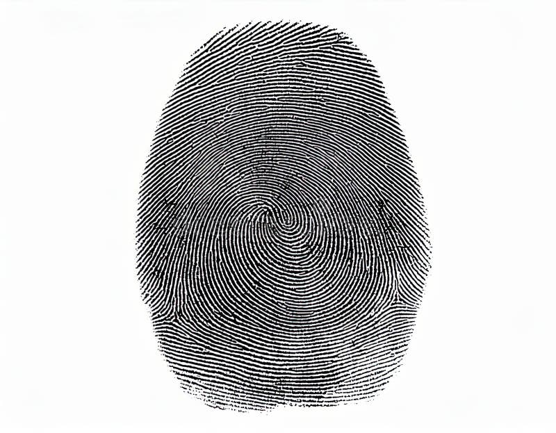 Fingerprint Identification Security Biometric Access Control Isolated ...