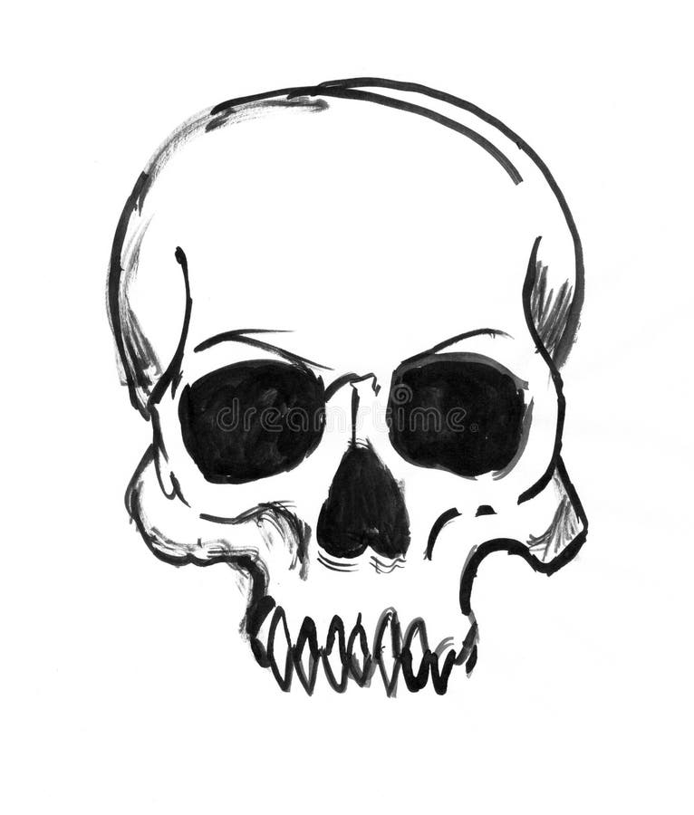 Black Ink Hand Drawing of Human Skull Stock Illustration - Illustration ...
