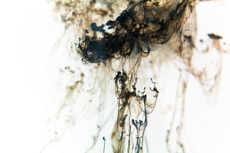 Black Ink Swirls Forming Delicate Patterns As they Diffuse Elegantly ...