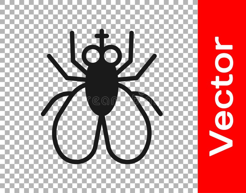 Housefly Transparent Background Stock Illustrations – 42 Housefly ...