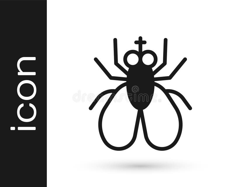 Black Insect Fly Icon Isolated on White Background. Vector Stock ...