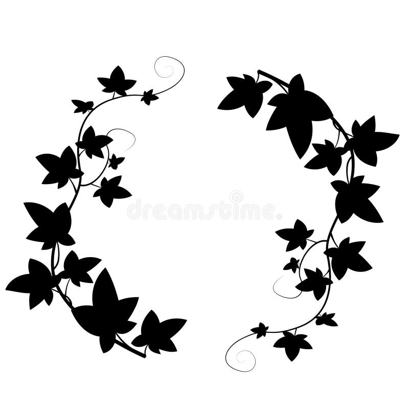 Black Ivy Silhouette. Curved Plant Vector. Decorative Leaves. Nature ...